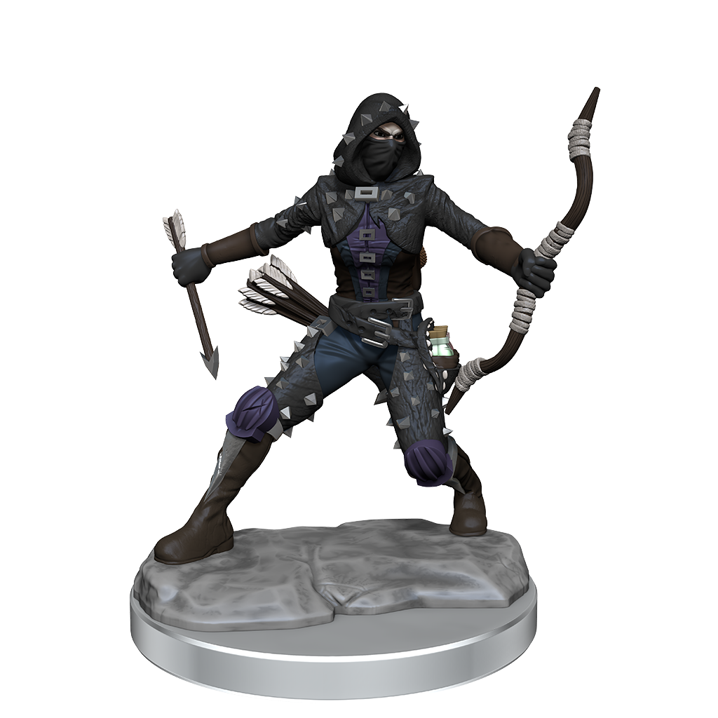 Pathfinder Human Assassin